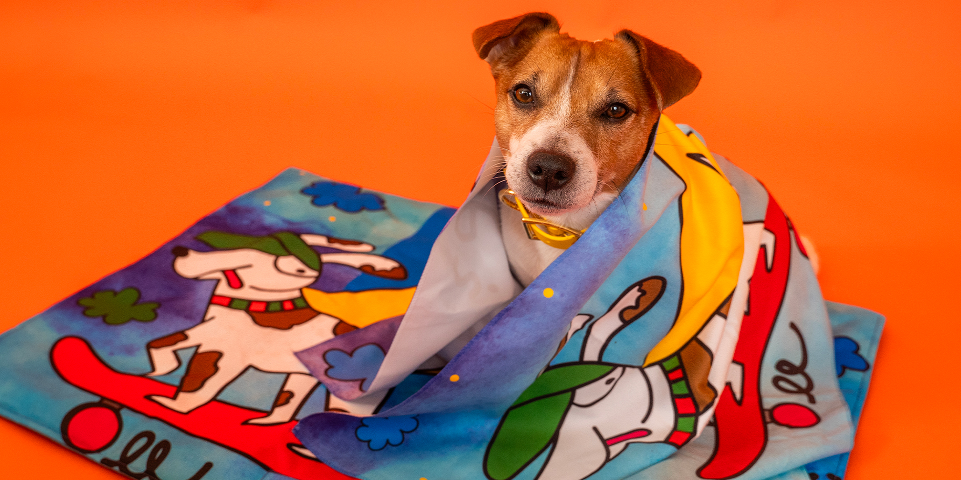 Tipy na dárky | Pura Vida